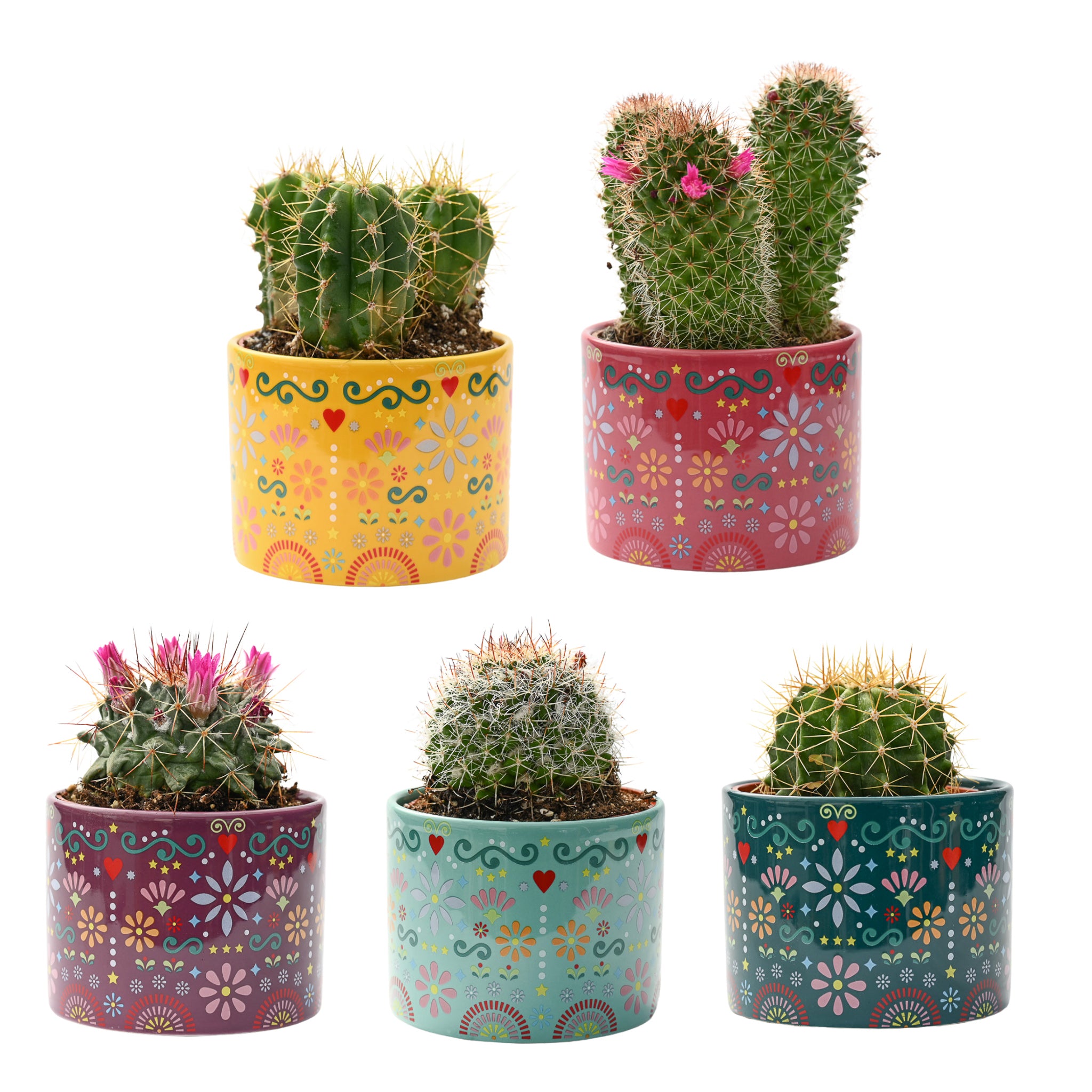 Cinco Charm (4-Inch) – Western Cactus