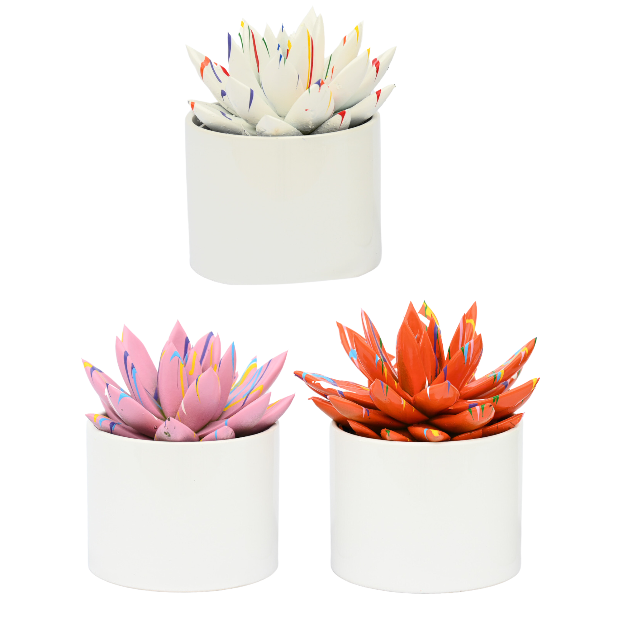 White Glazed w/ Picasso Splash (4-inch) – Western Cactus