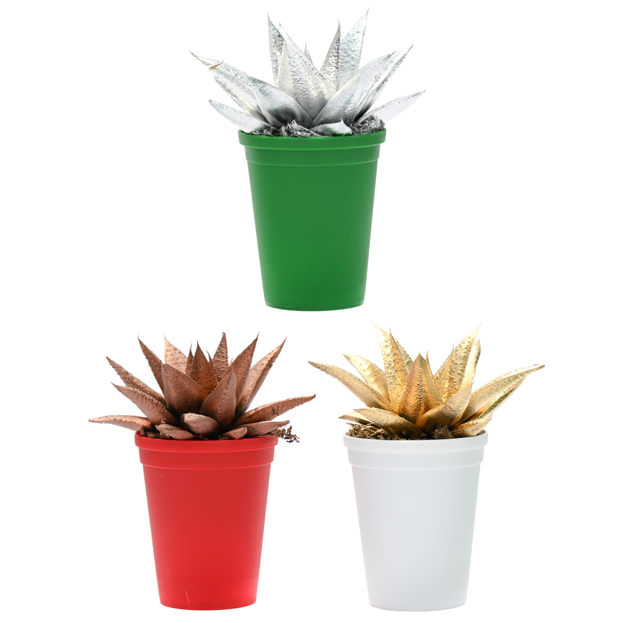 Painted Metallic Green Red White Pot Covers (2-INCH) – Western Cactus