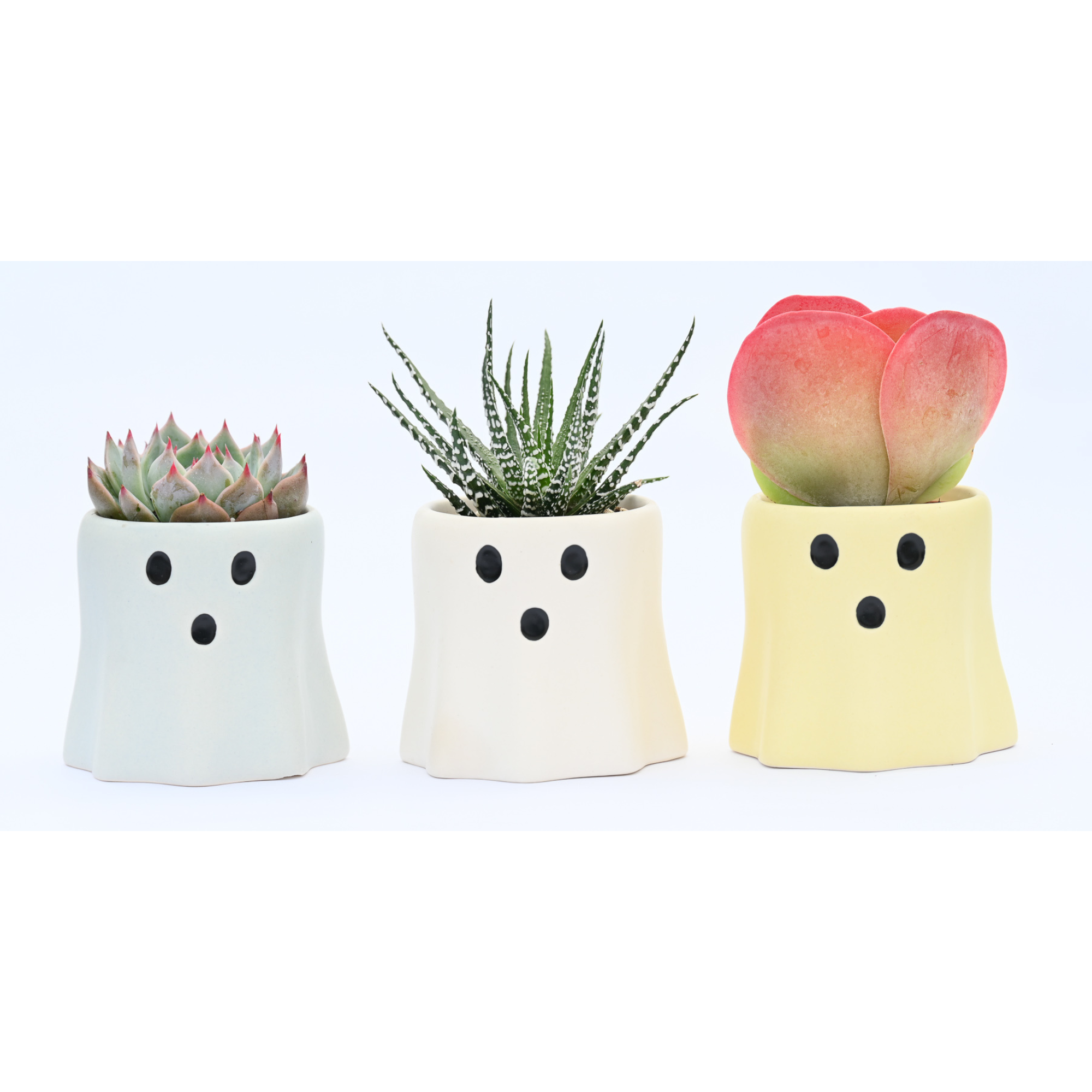 My Little BOO (2-Inch) – Western Cactus